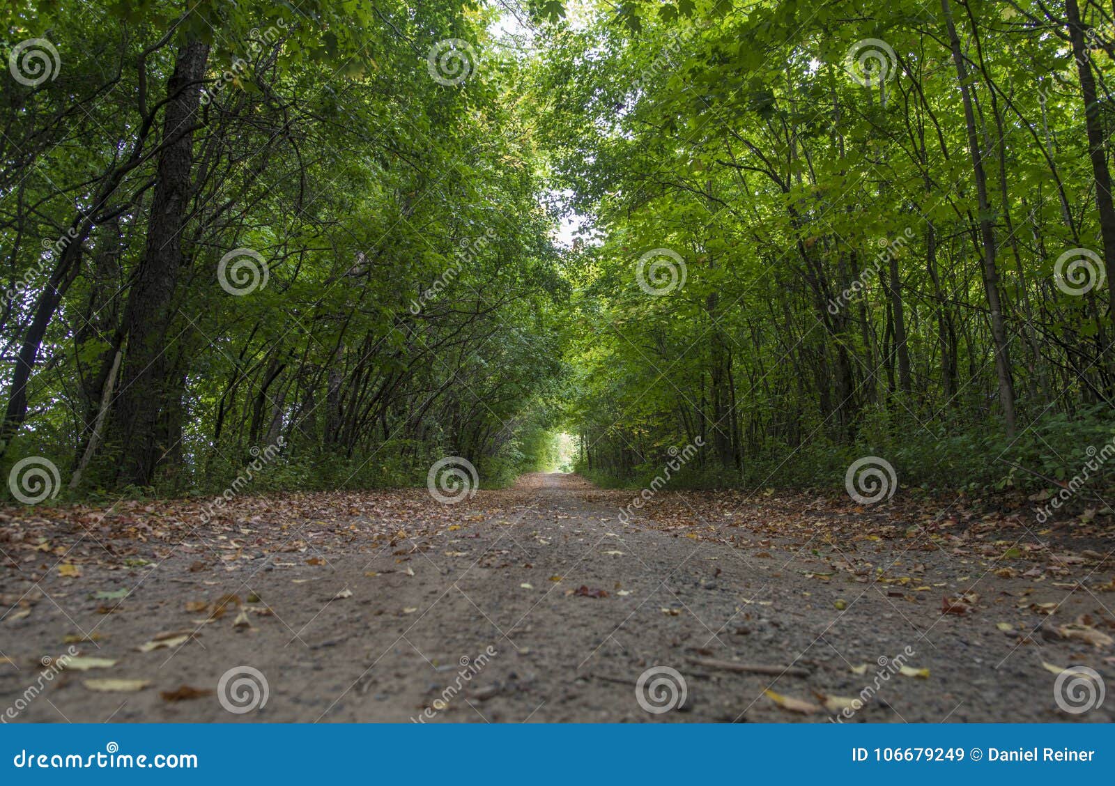 Path to light stock image. Image of beautiful, light - 106679249