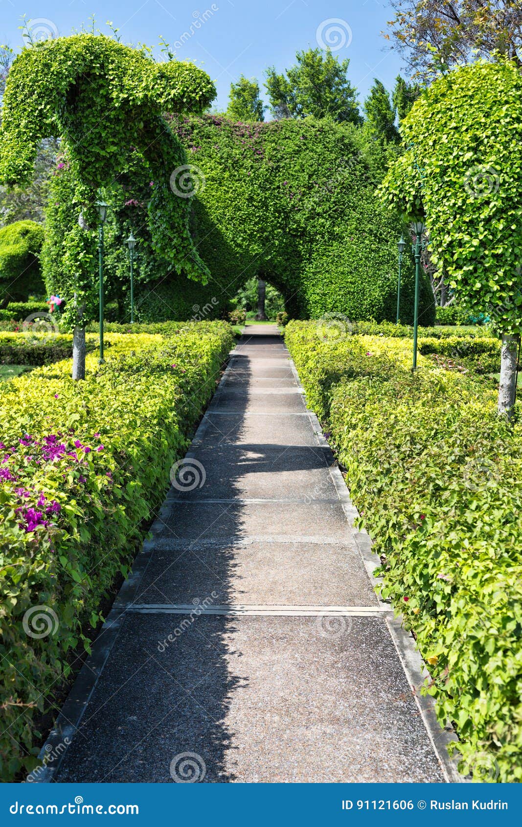 Path To the Manicured Bushes. Stock Photo - Image of landscape, house ...
