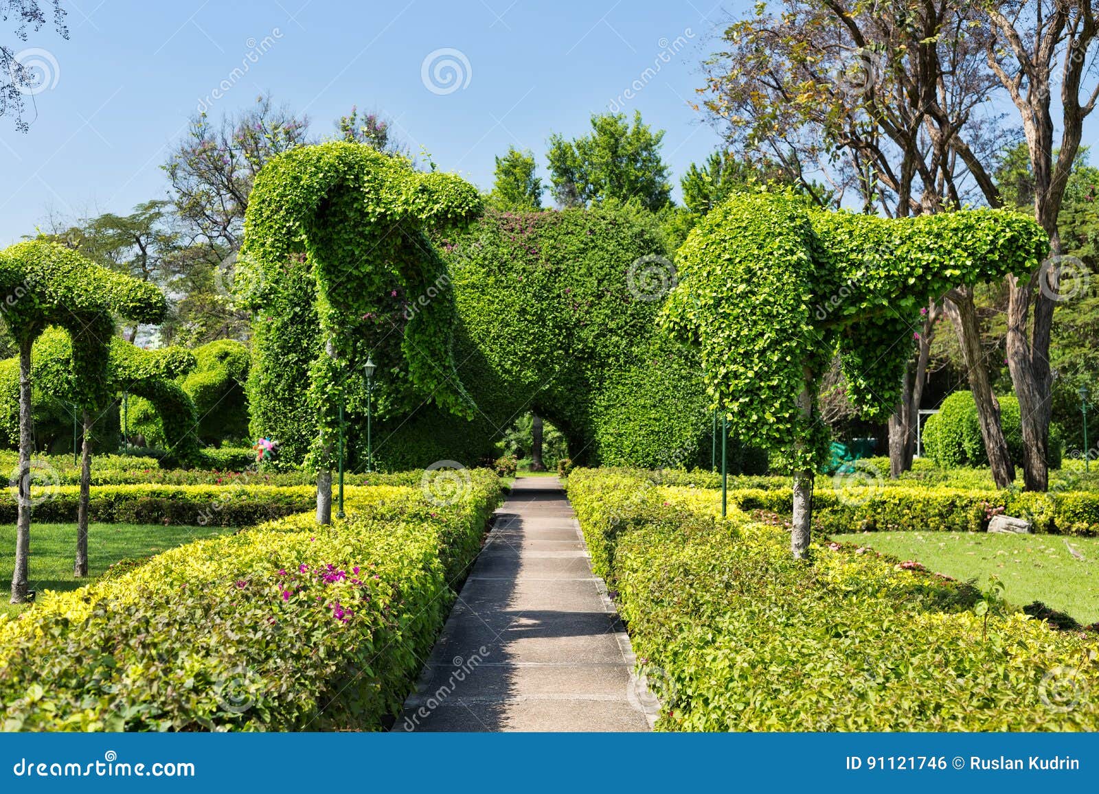 Path To the Manicured Bushes. Stock Photo - Image of house, outdoor ...