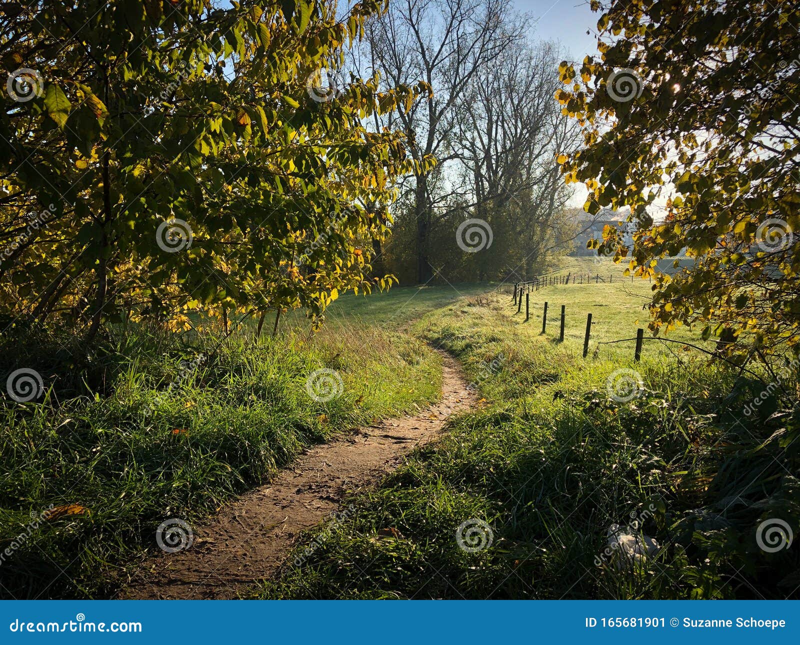 Path to the meadow stock image. Image of brown, fence - 165681901