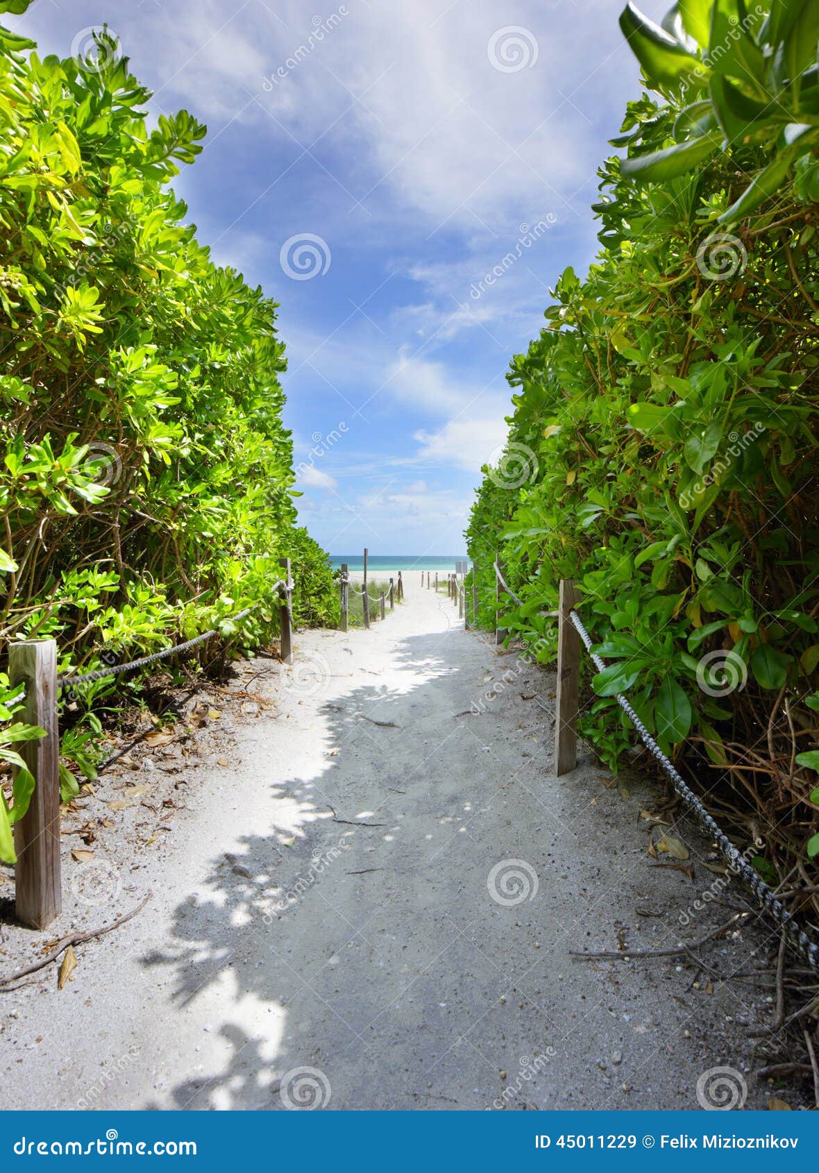 Path to the Miami Beach stock image. Image of miami, colorful - 45011229
