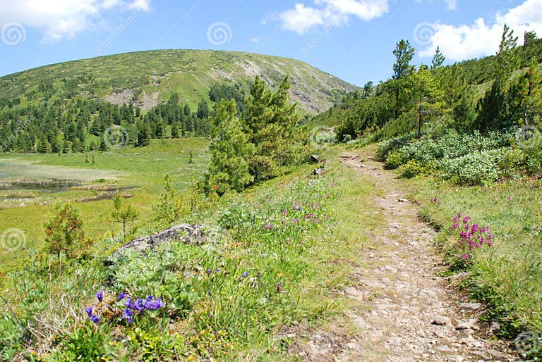 Path to mountain stock photo. Image of hiking, hamar, hill - 5924732
