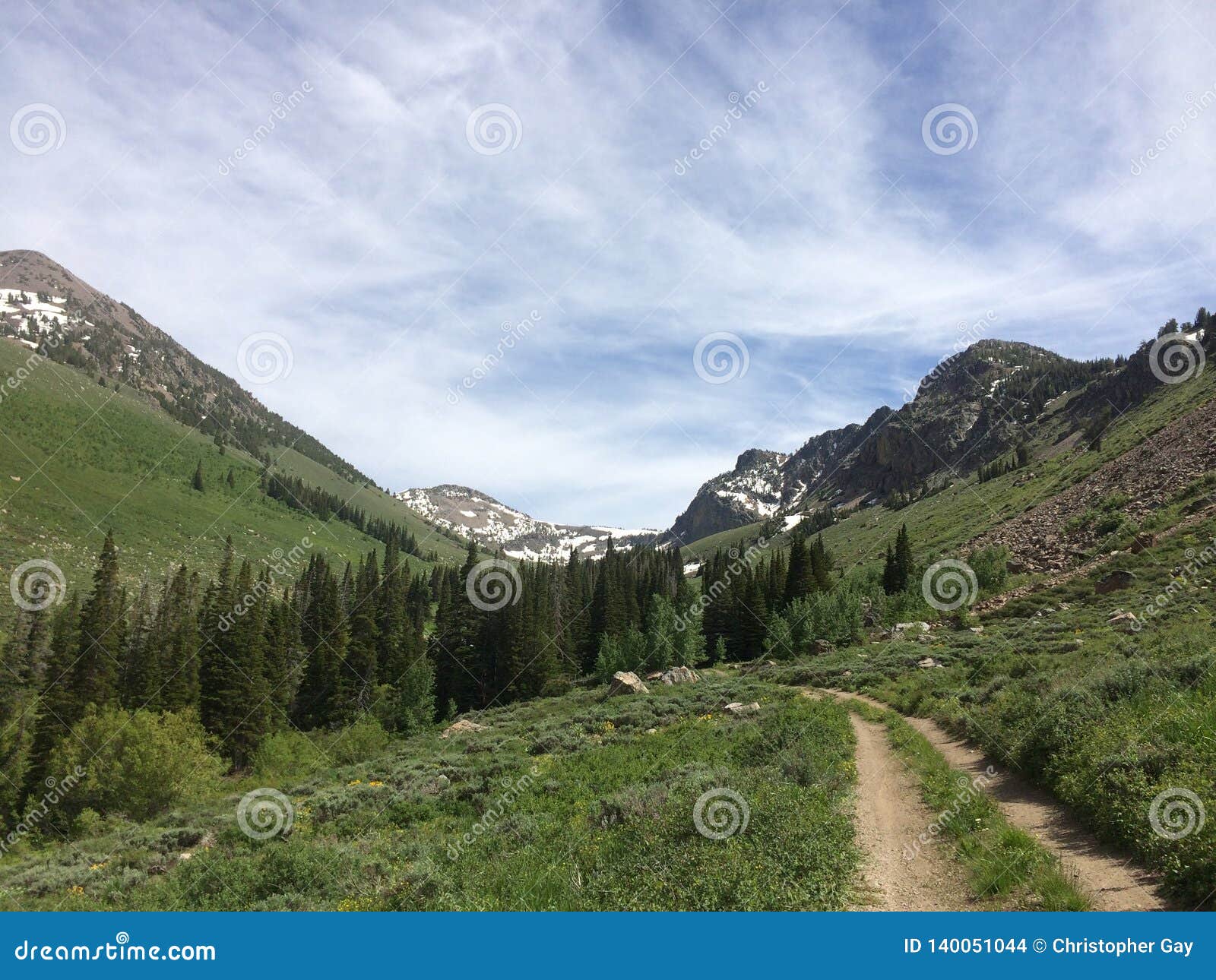 Path to the mountain peak stock photo. Image of trees - 140051044