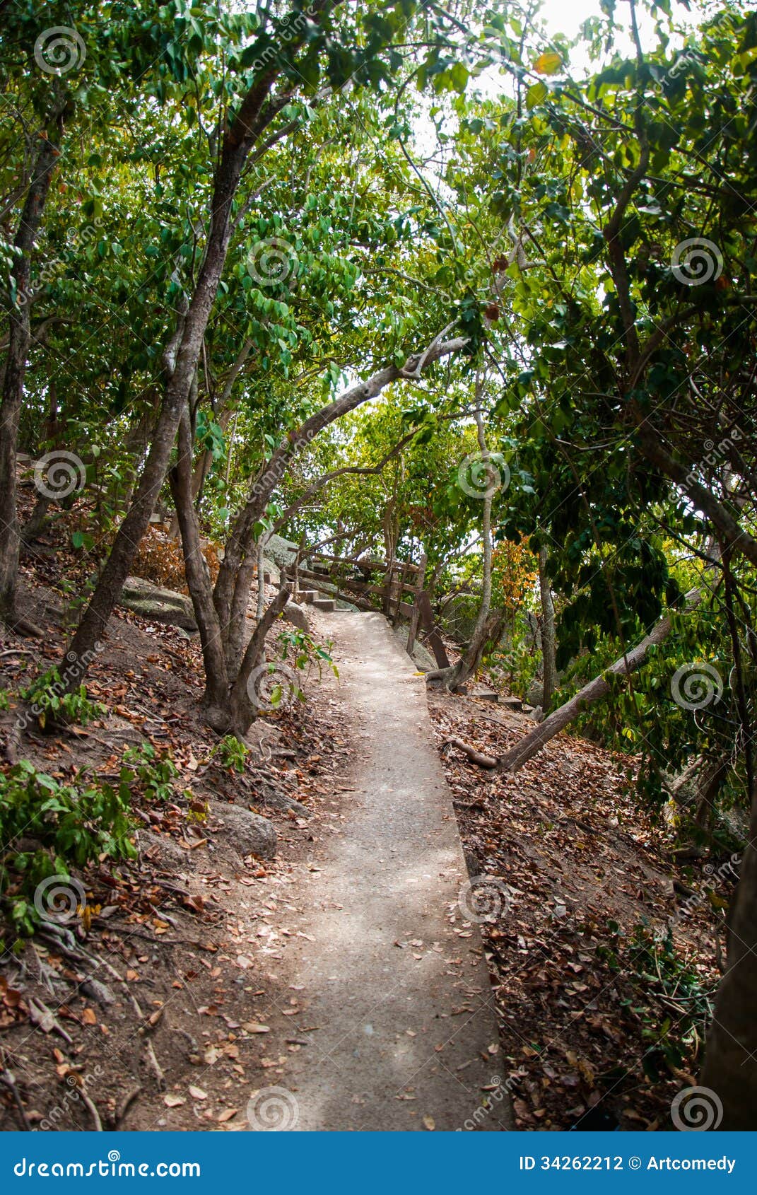 Path to the mountain top stock photo. Image of trail - 34262212