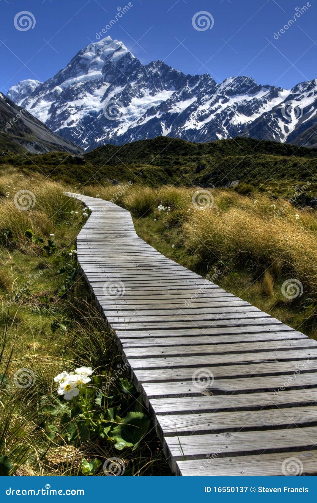 Path To Mount Cook Stock Photos - Free & Royalty-Free Stock Photos from ...