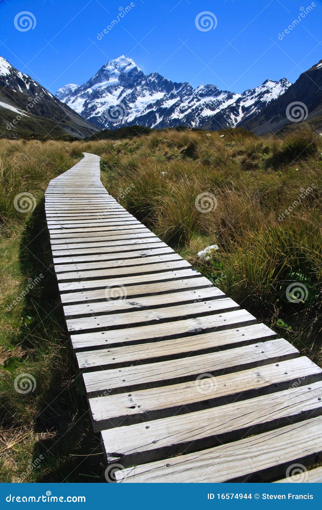 Path to Mt Cook stock photo. Image of mount, zealand - 16574944