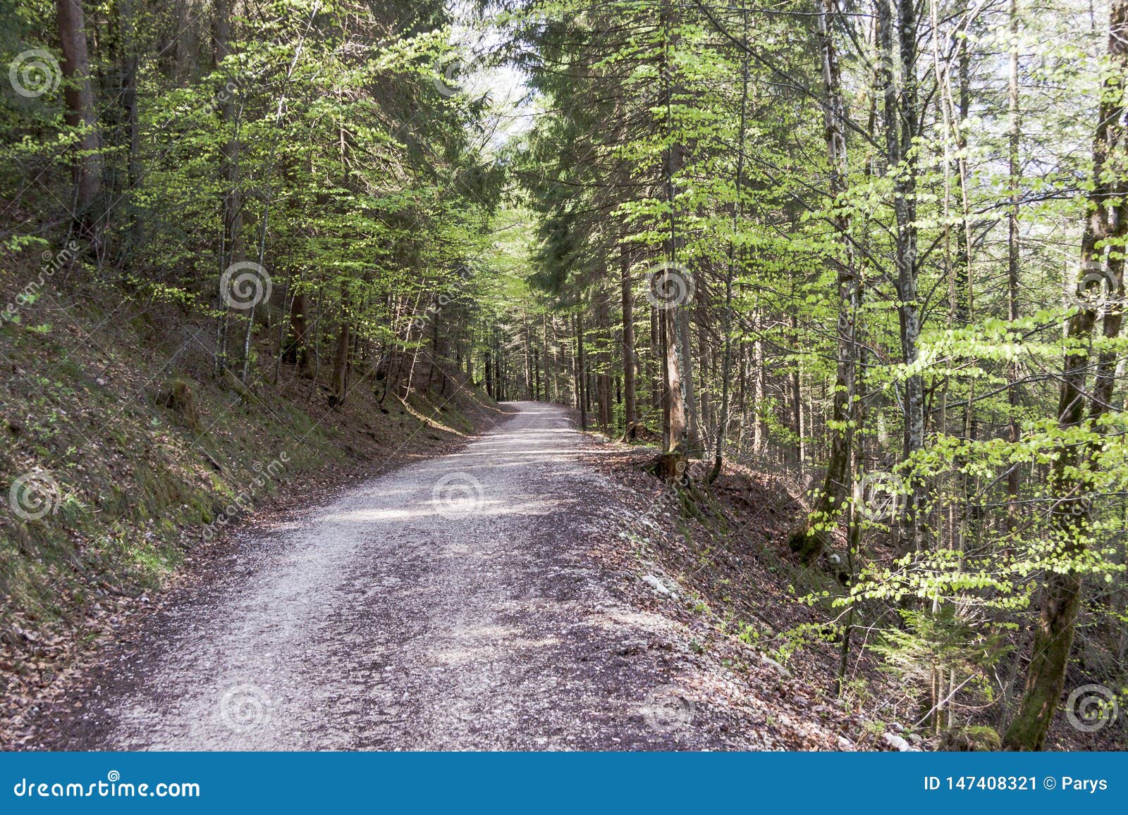 Path To Neuschwanstein Castle Stock Image - Image of dark, outdoor ...
