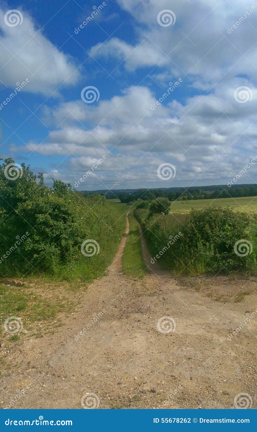Path to nowhere stock photo. Image of path, greenery - 55678262