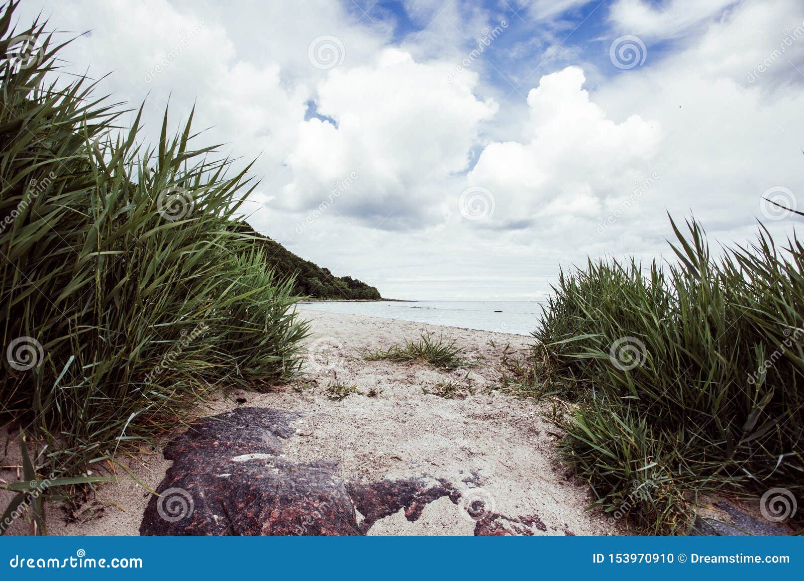 Path to the Ocean stock photo. Image of outdoor, clouds - 153970910