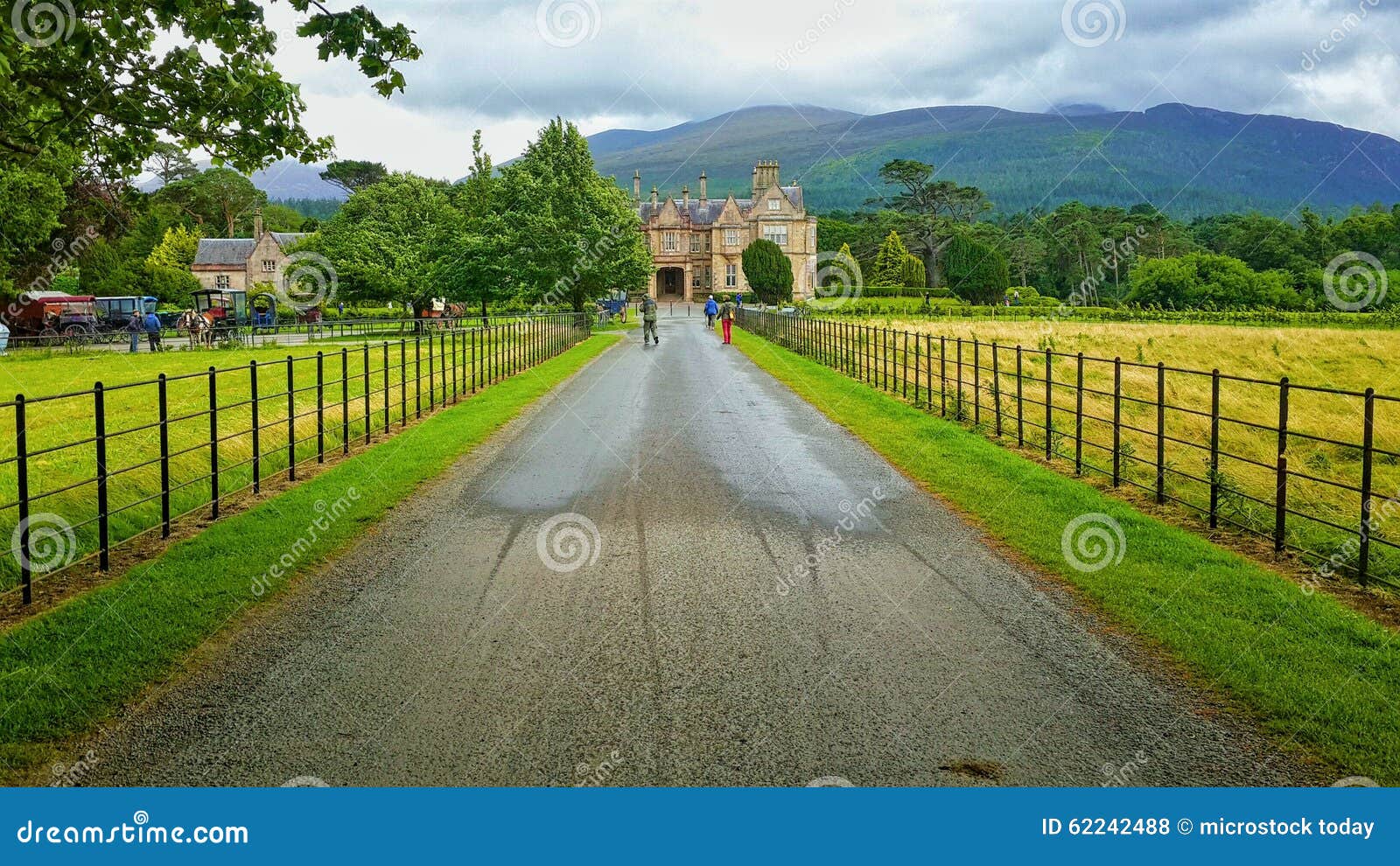 Path to paradise stock photo. Image of killarney, nature - 62242488