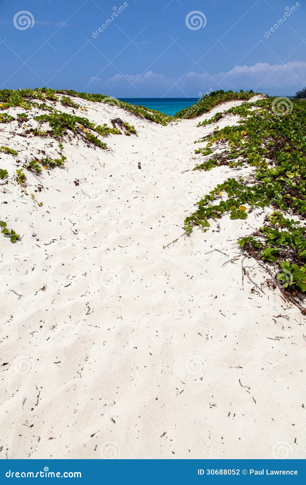 Path to Paradise stock photo. Image of coastline, vacation - 30688052