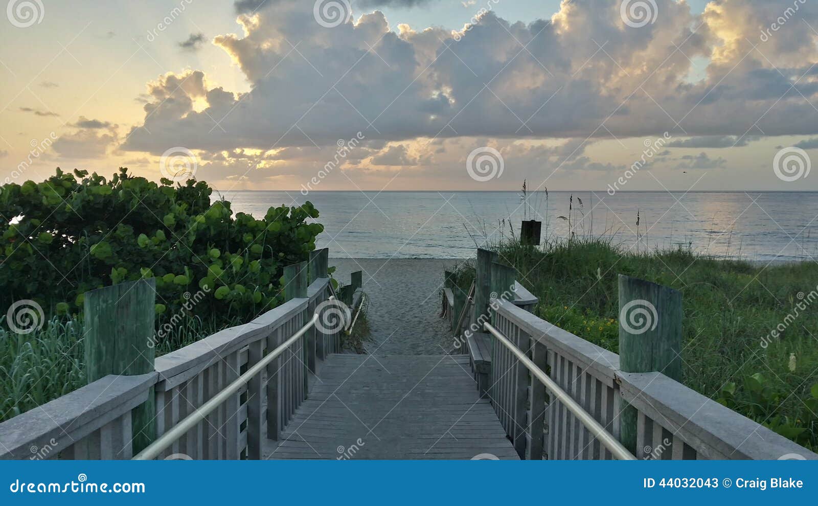 Path to paradise stock image. Image of paradise, path - 44032043