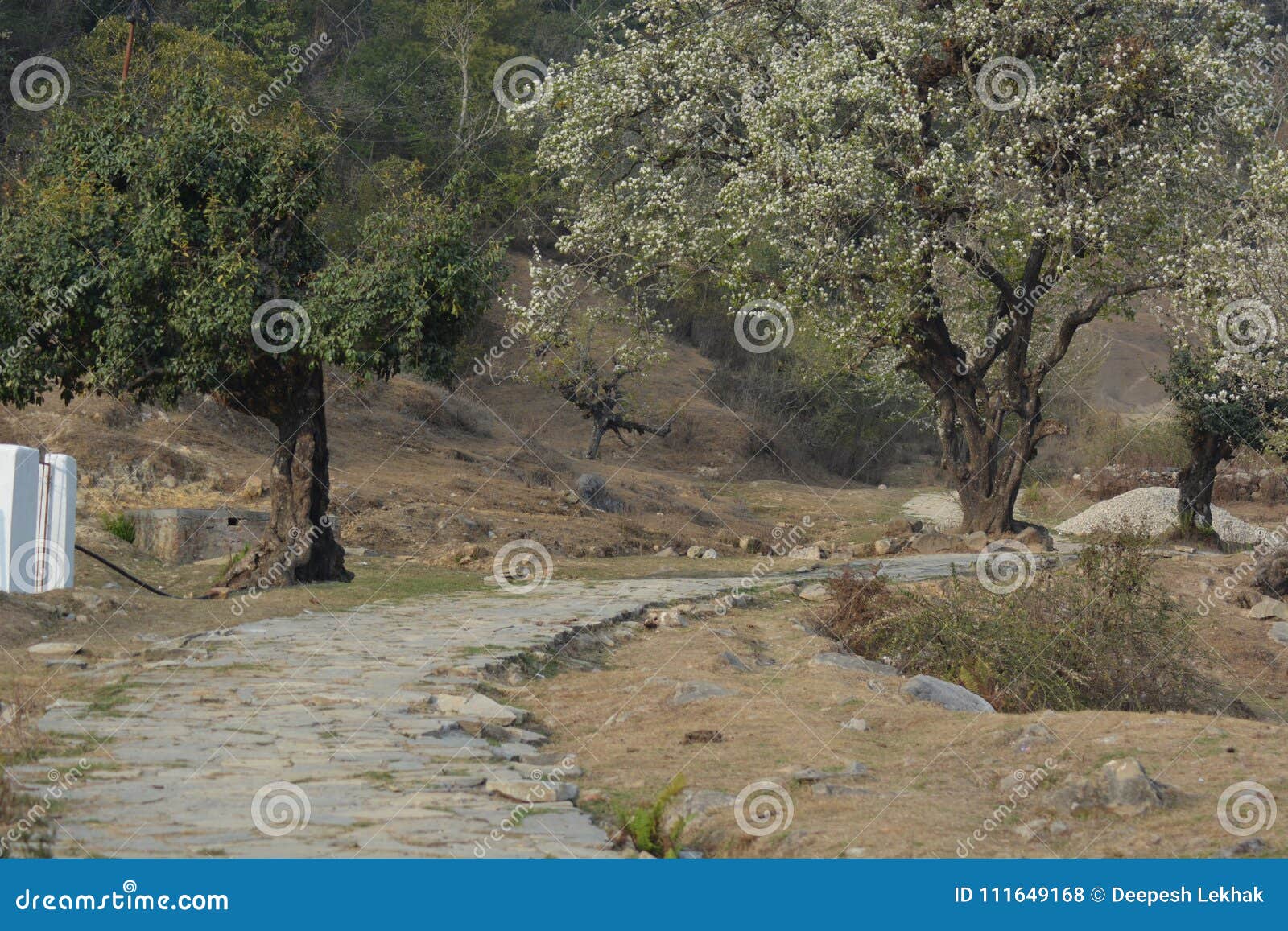 A path to remember stock photo. Image of chitlang, nepal - 111649168