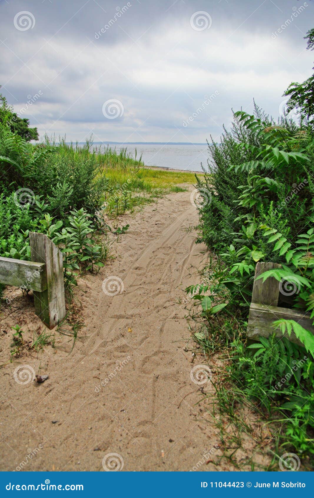 Path to the Sea stock image. Image of dune, shoreline - 11044423