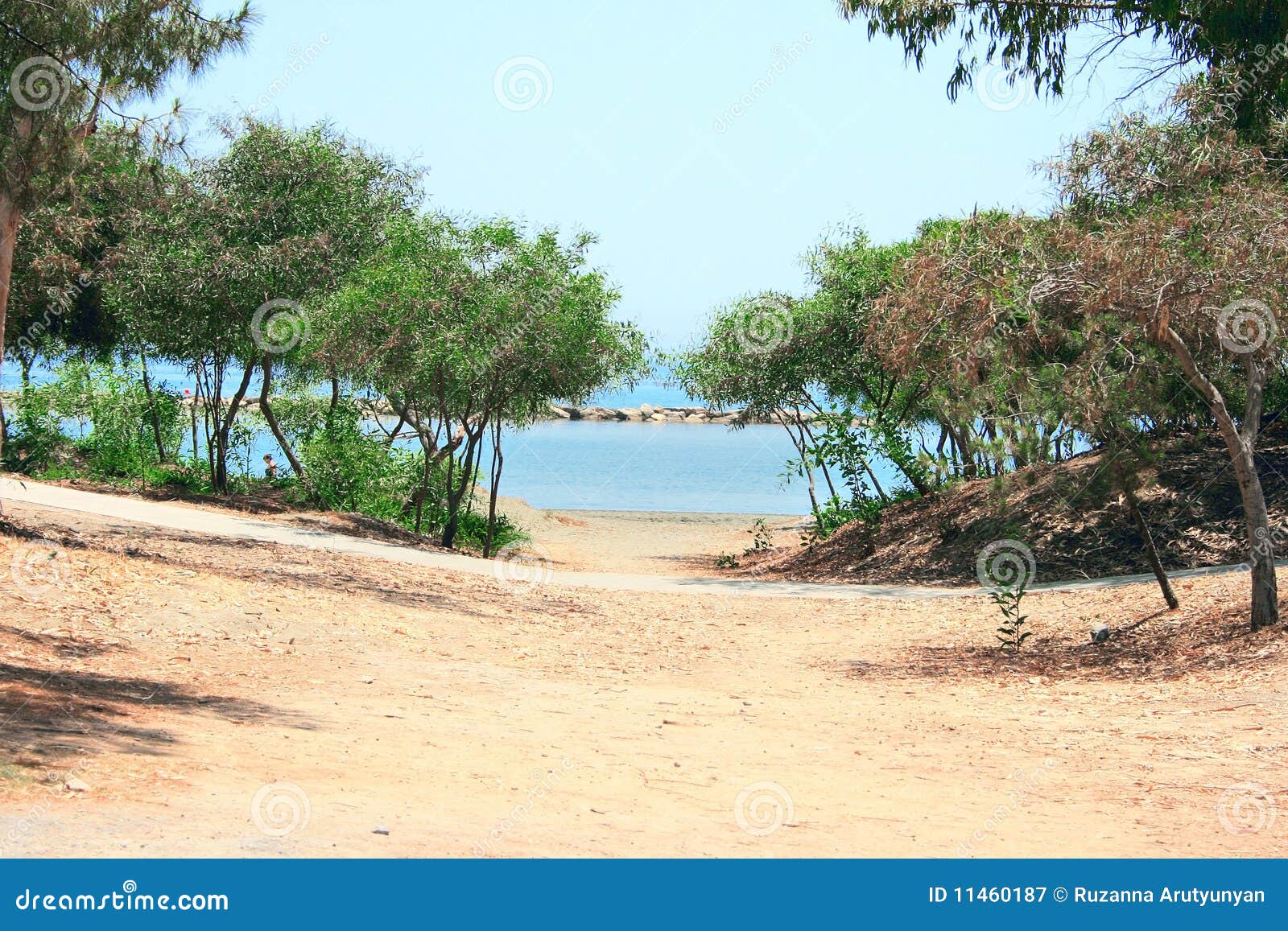 Path to the sea stock image. Image of park, light, sunlight - 11460187