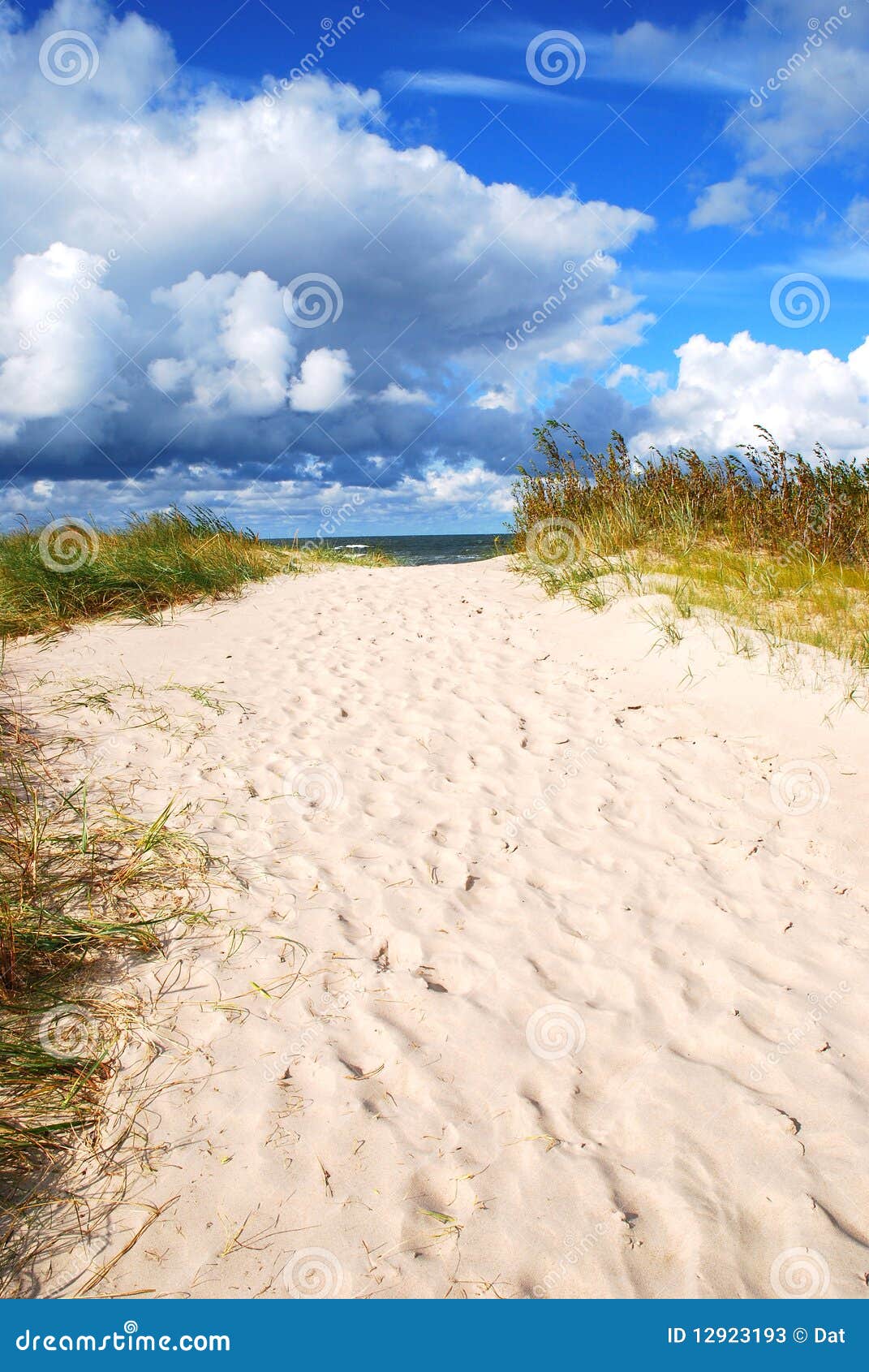 Path to the sea stock image. Image of baltic, grass, beach - 12923193