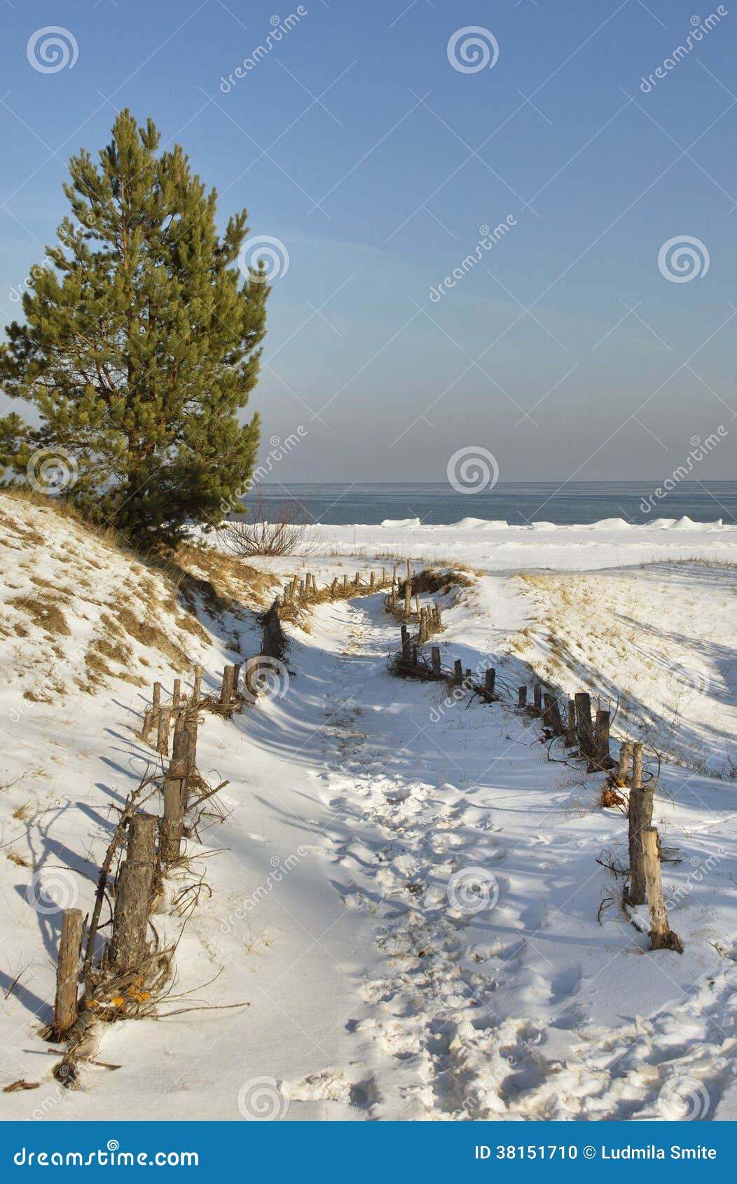 Path to the sea. stock photo. Image of bright, baltic - 38151710