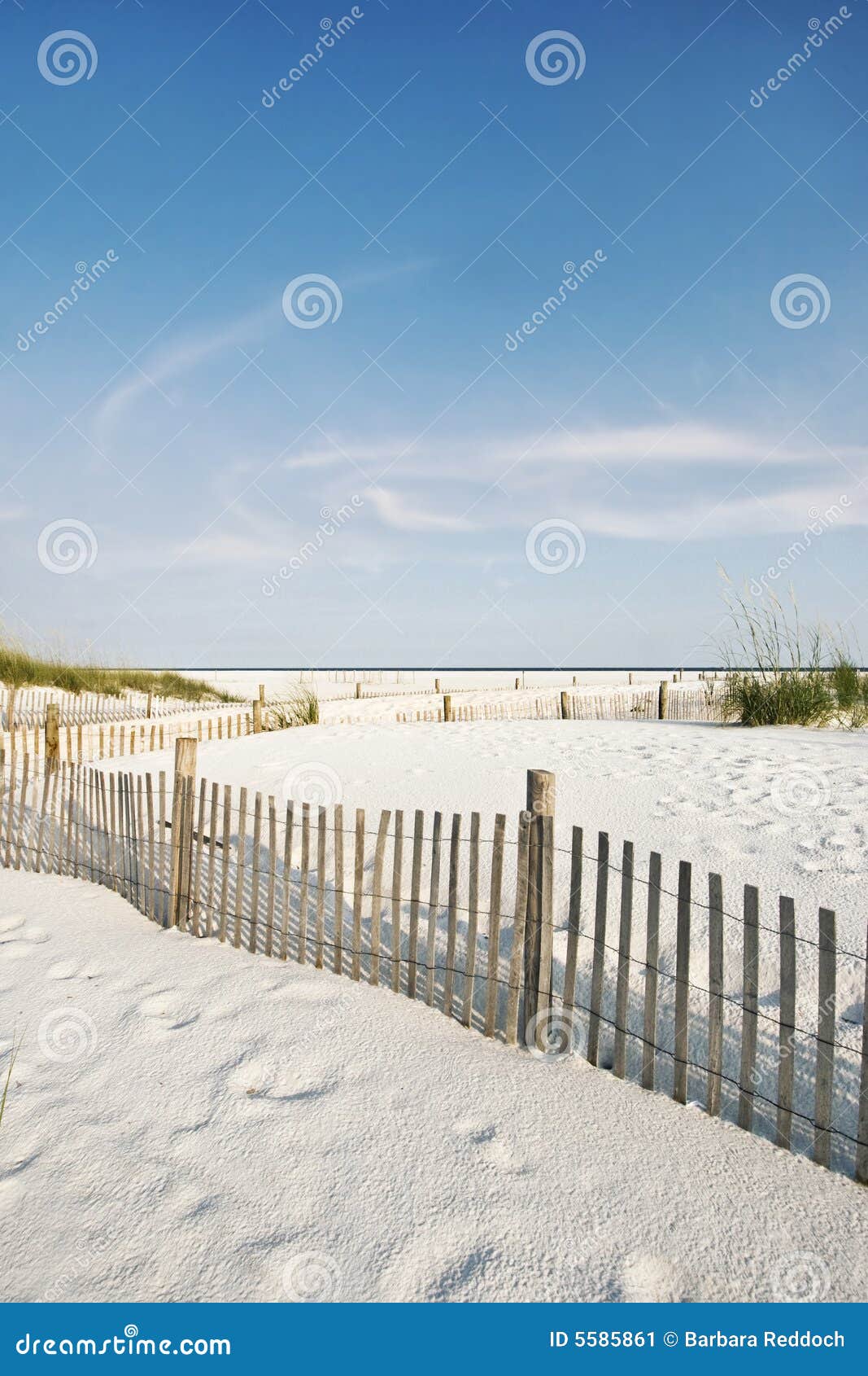 Path to the Sea stock image. Image of break, outdoor, leisure - 5585861