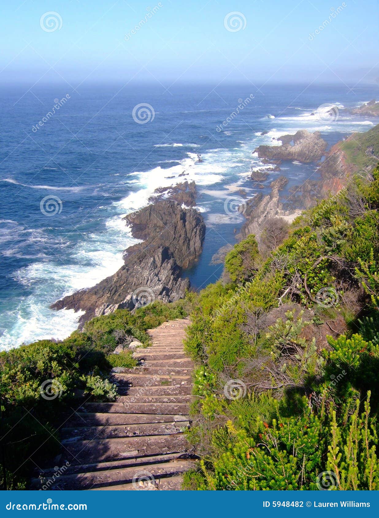 Path to the sea stock photo. Image of ocean, fynbos, walk - 5948482