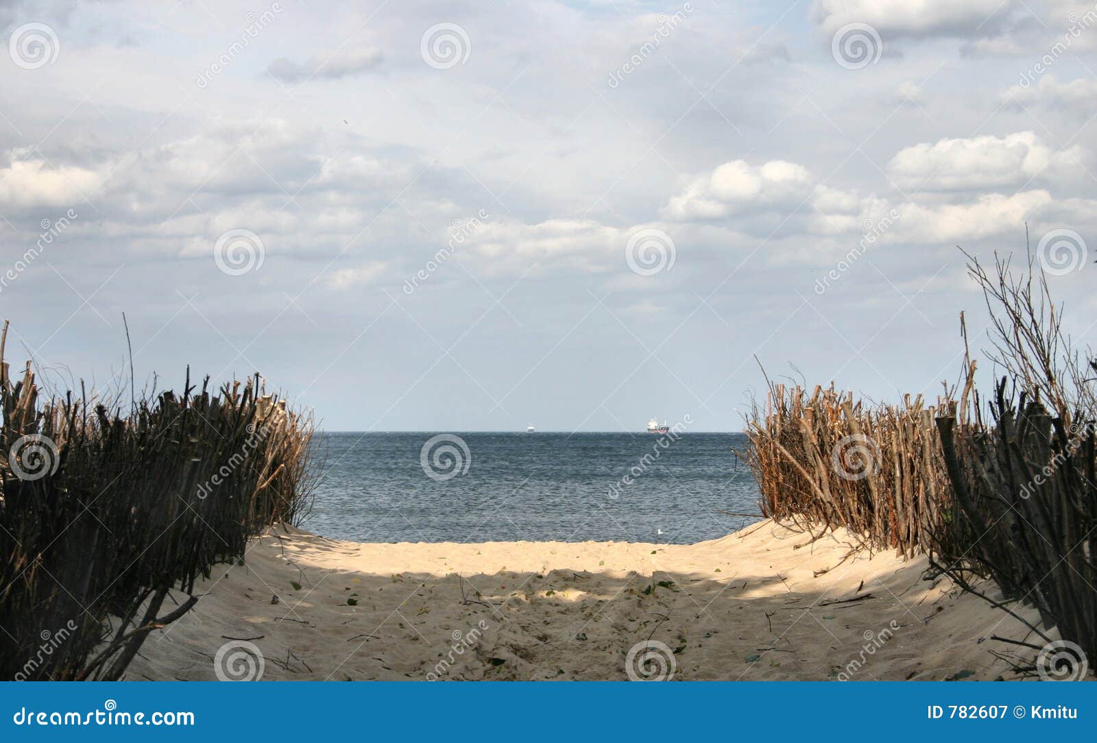 Path to the sea stock image. Image of shoreline, coastal - 782607