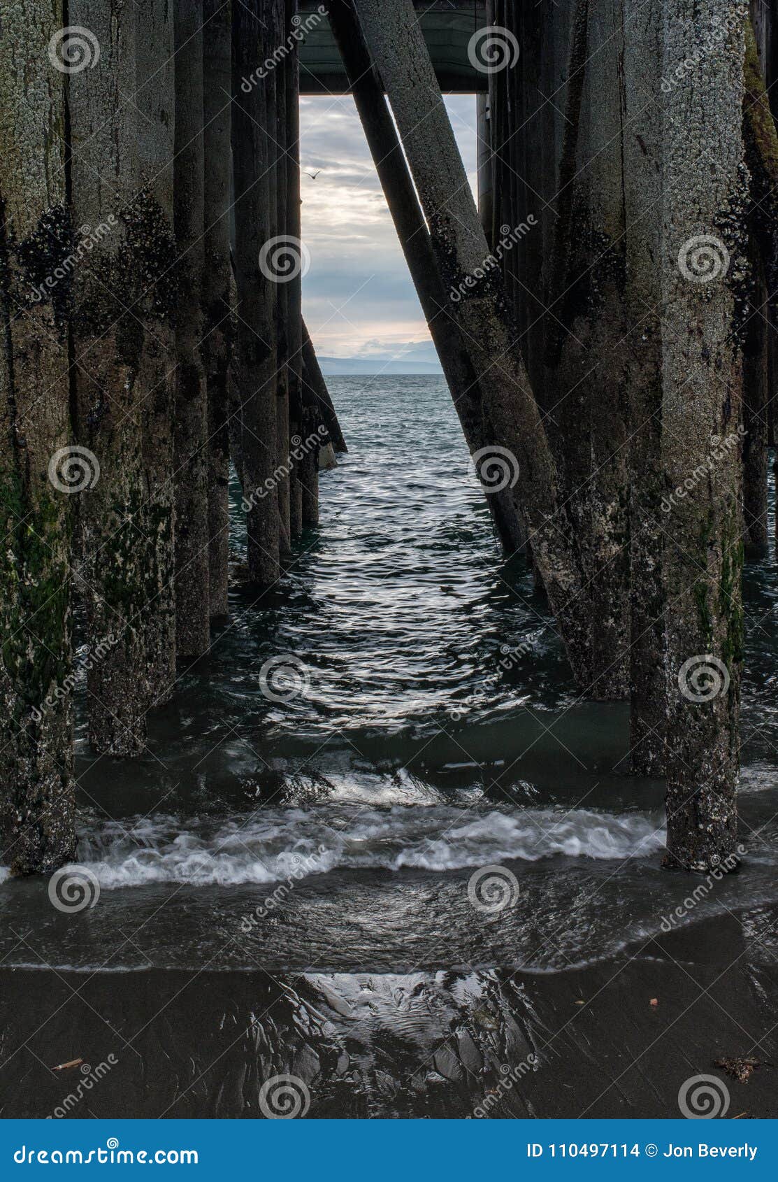 Path To the Sea between Dock Pilings Stock Photo - Image of homer ...