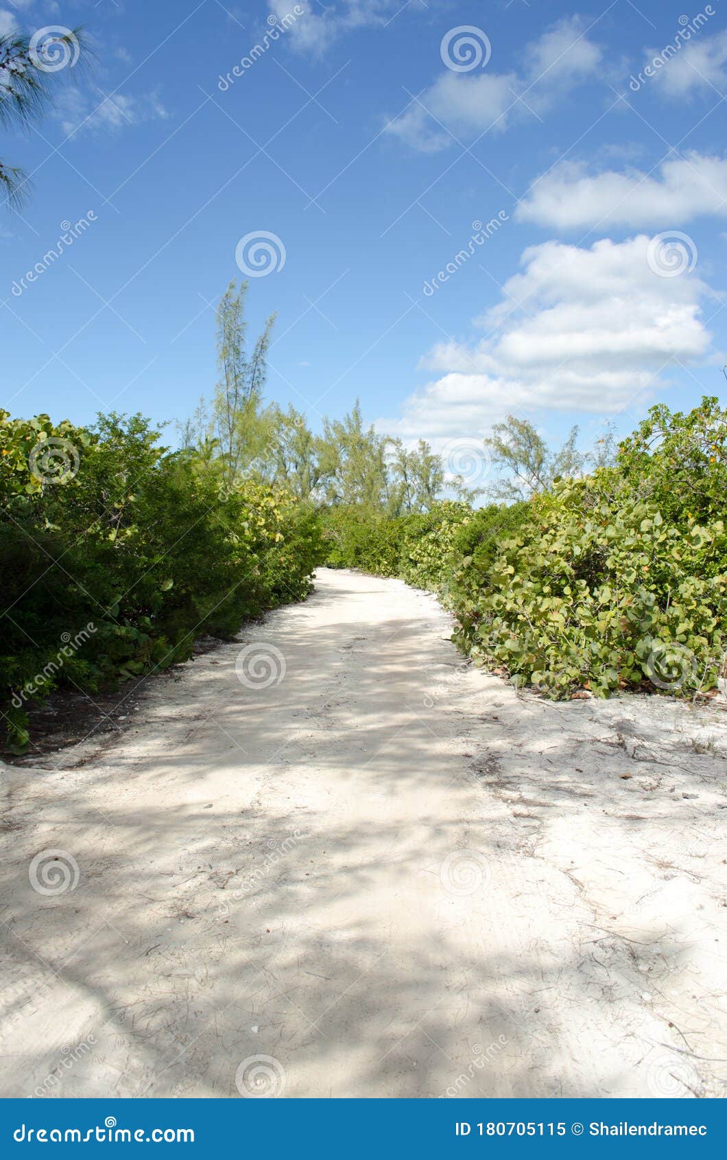 Path to the sea stock image. Image of nature, park, natural - 180705115