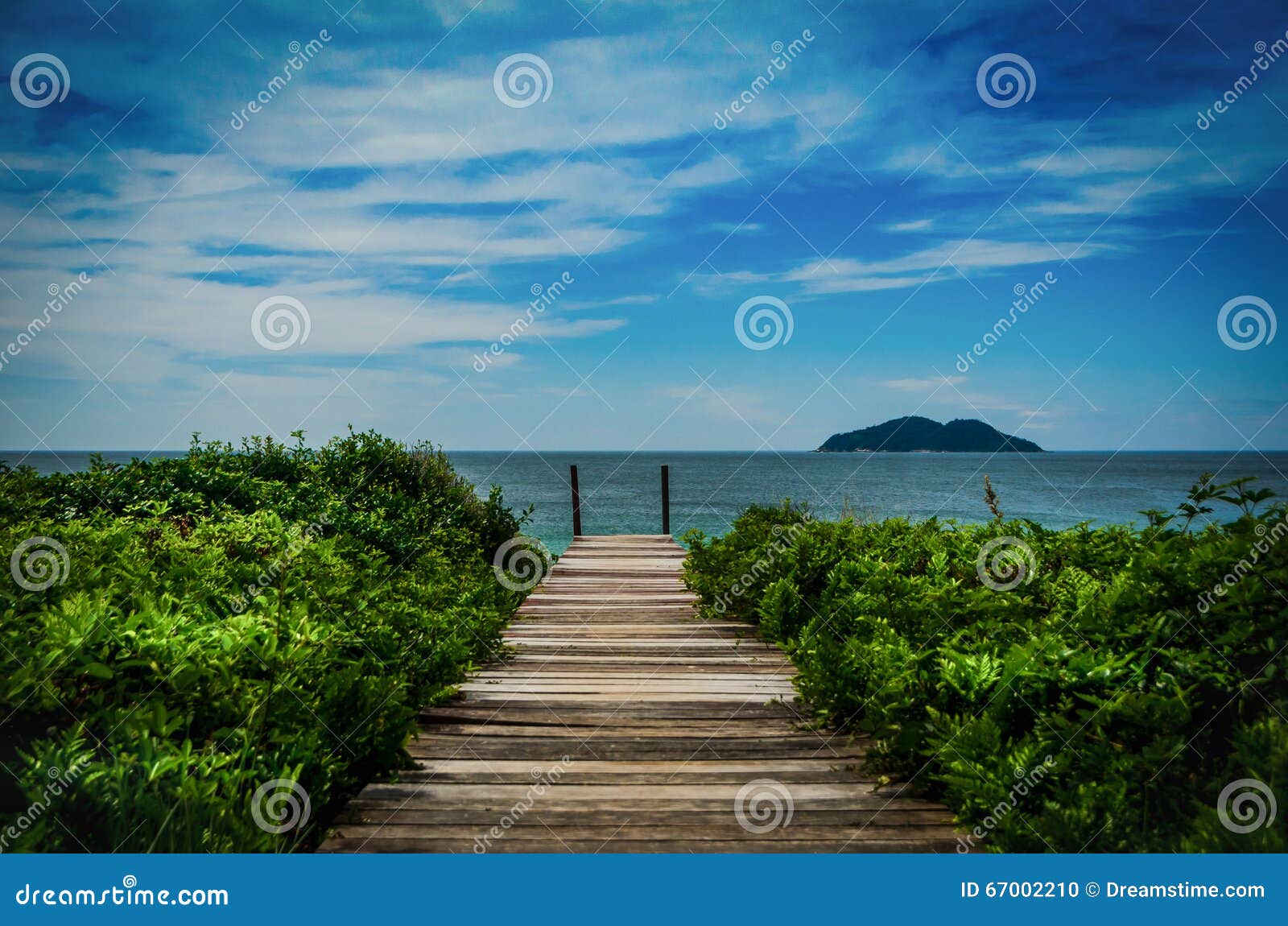 The path to the sea stock photo. Image of landscape, green - 67002210