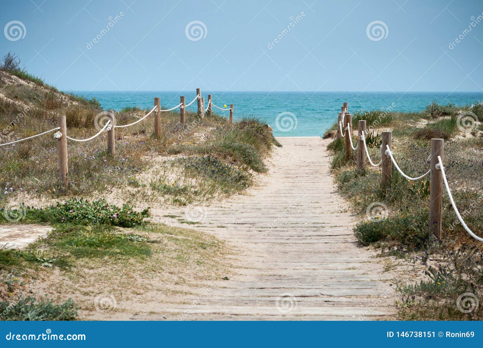 Path To the Sea Sandy Beach Stock Image - Image of nature, horizon ...