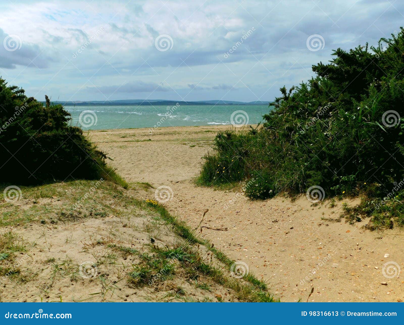 Path to the sea stock image. Image of sand, seaside, summer - 98316613