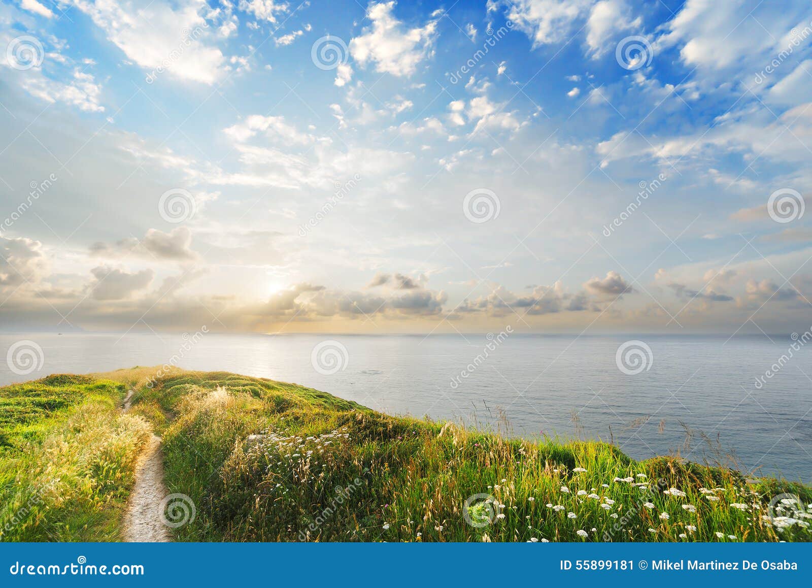 Path to the sea stock image. Image of coast, sunrise - 55899181