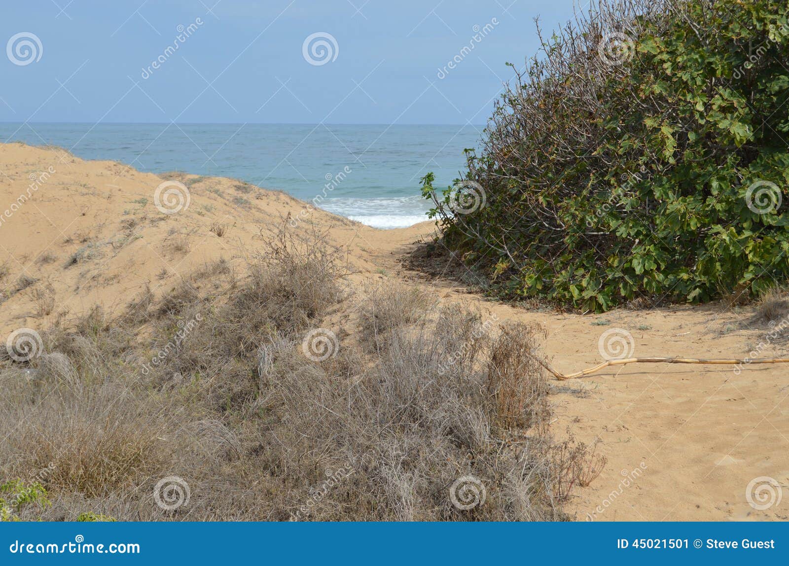 A Path To the Sea - Quiet Sand Dunes Location Stock Image - Image of ...