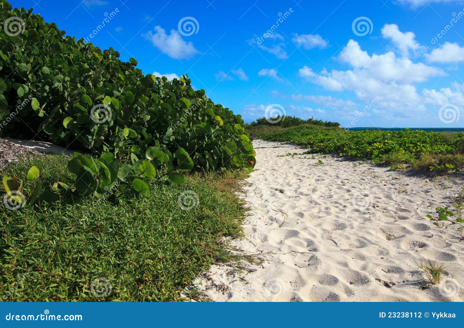 Path To the Sea of White Sand. Stock Photo - Image of clean, exotic ...