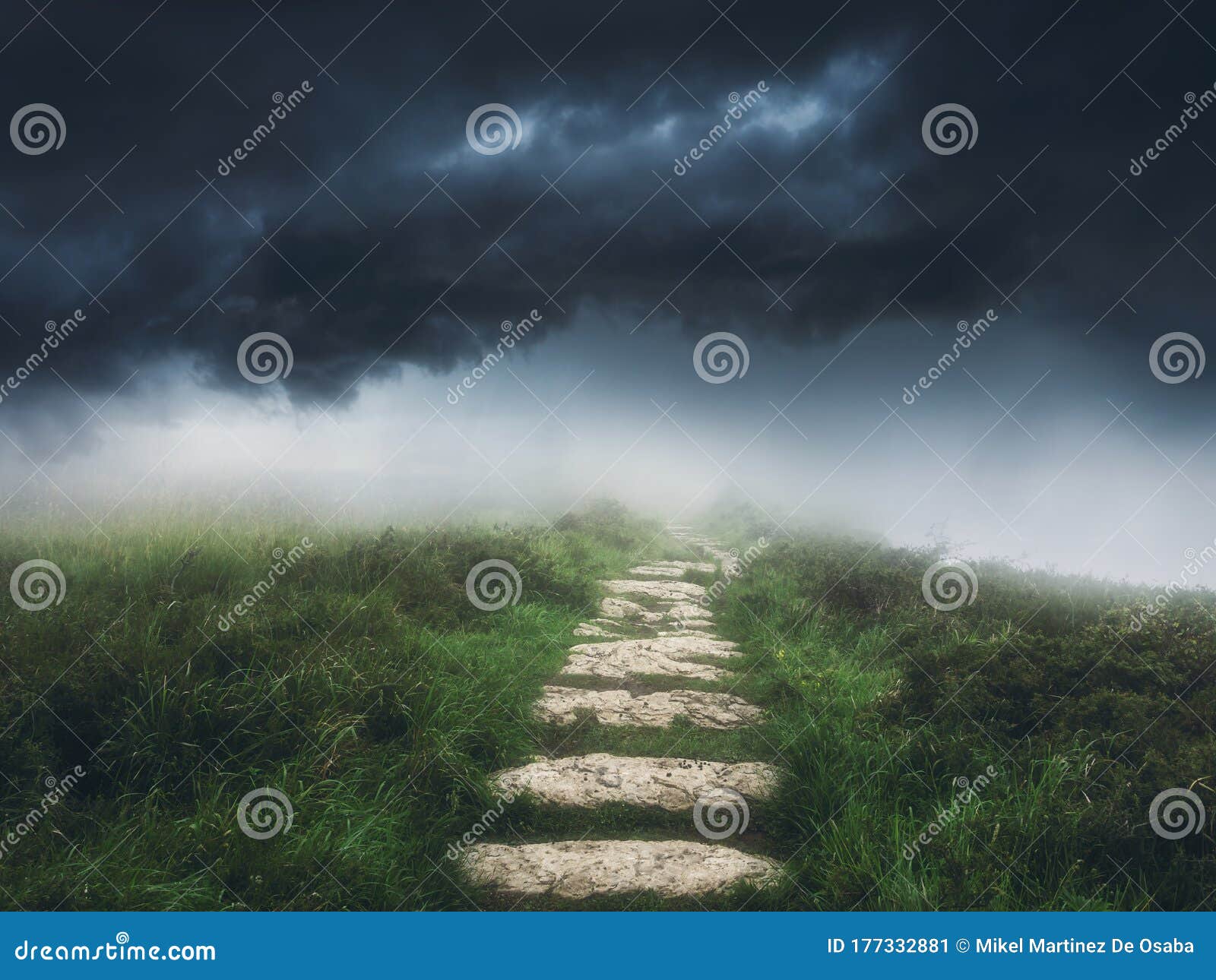 Path To the Storm with Dramatic Sky Stock Image - Image of scenery ...