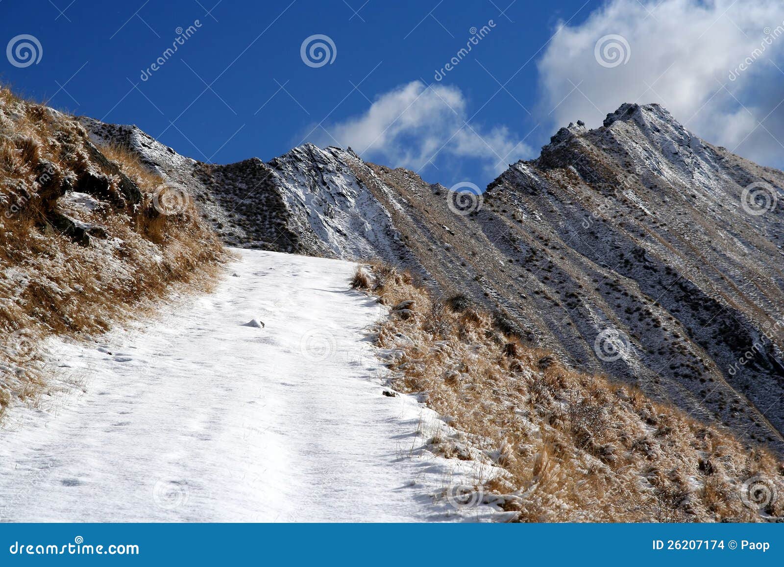 Path to the summit stock photo. Image of frost, alps - 26207174
