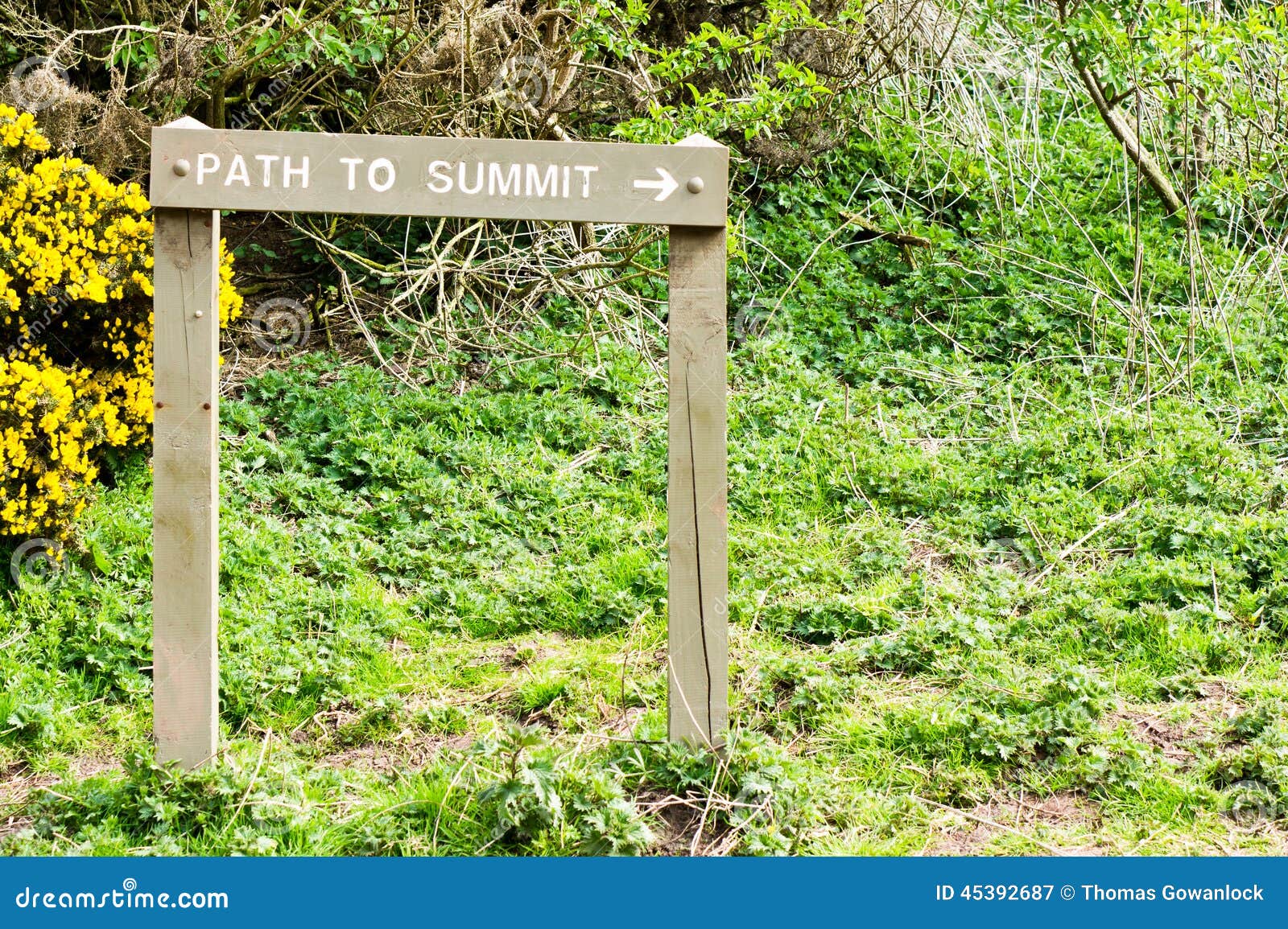 Path to summit stock image. Image of adventure, rural - 45392687