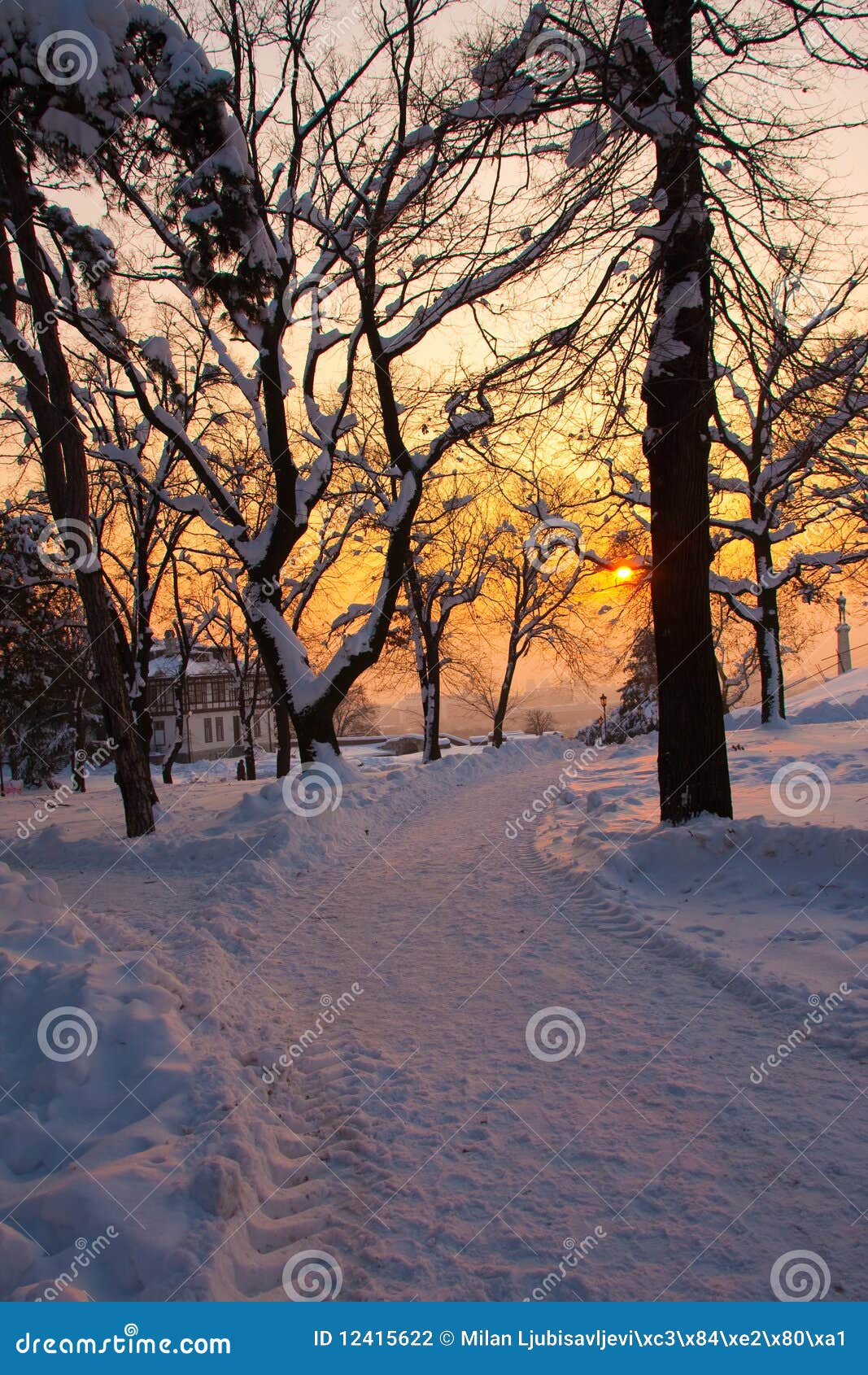 Path to Sun stock photo. Image of sunset, yellow, tree - 12415622