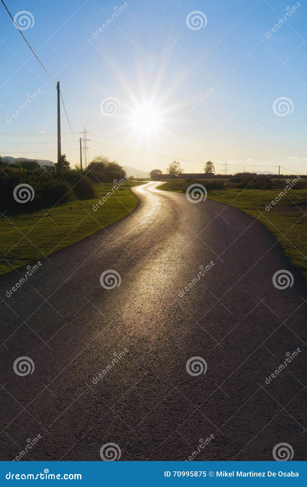Path to the sun stock image. Image of path, sunny, journey - 70995875
