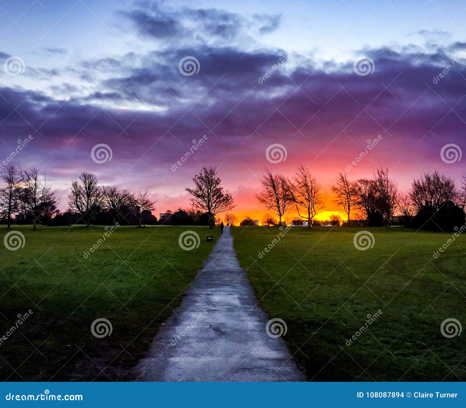 Path to sunrise stock photo. Image of wildlife, sunset - 108087894
