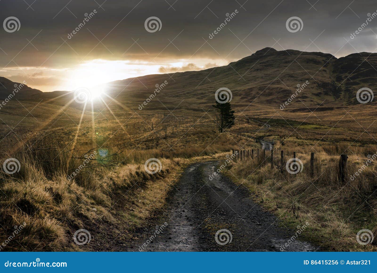 Path to a sunrise stock photo. Image of landscape, trip - 86415256