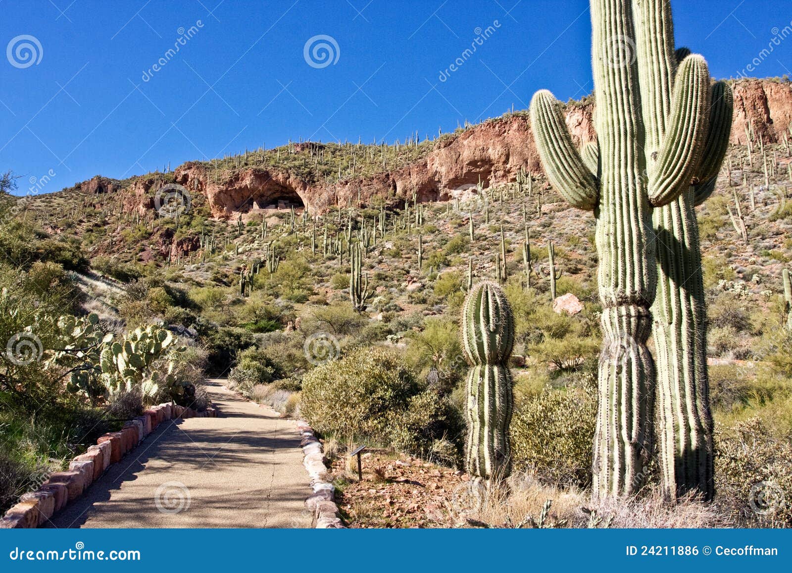 Tonto Native American Indian Ruins Cliff Dwelling Stock Photo ...