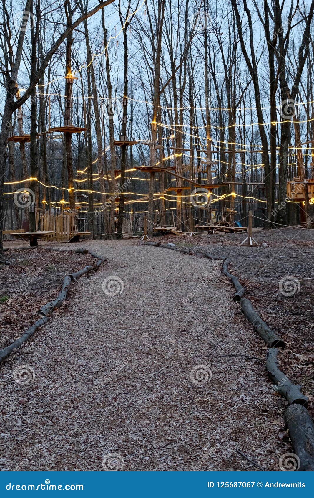 Path To Treetops Ropes and Obstacle Course at Night Stock Image - Image ...