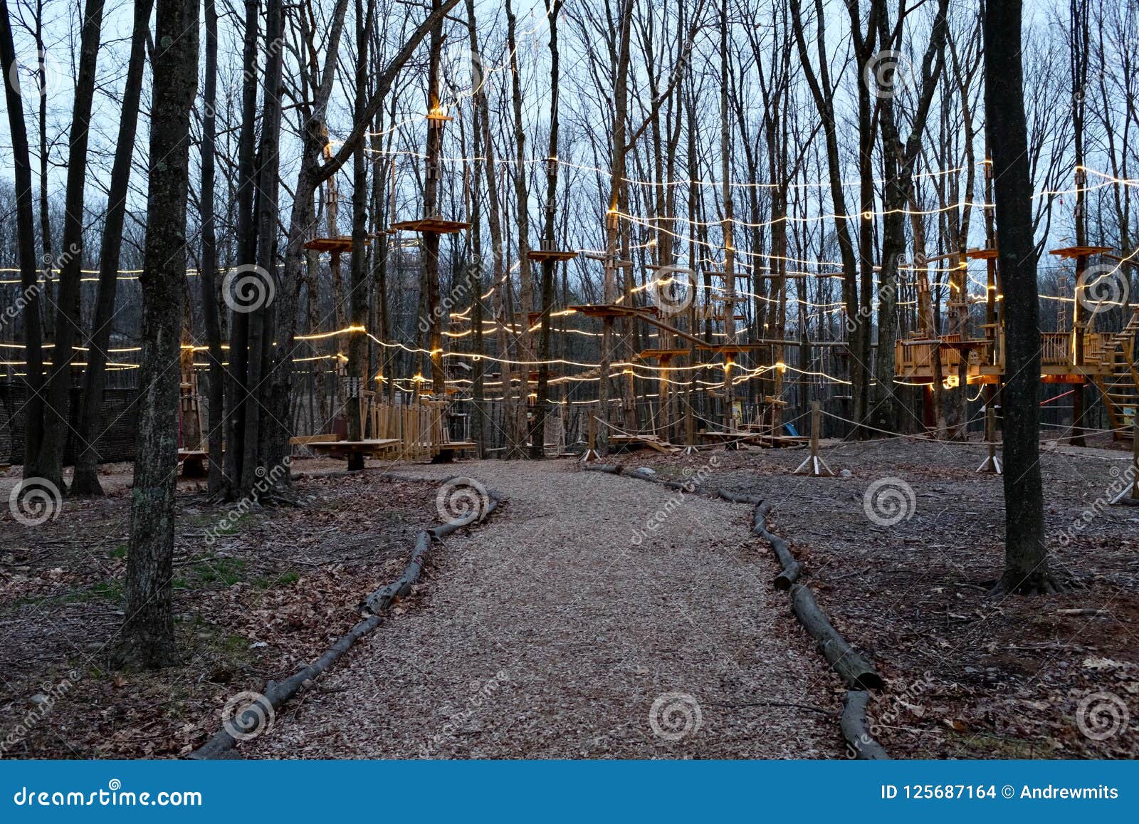 Path To Treetops Ropes and Obstacle Course at Night Stock Photo - Image ...