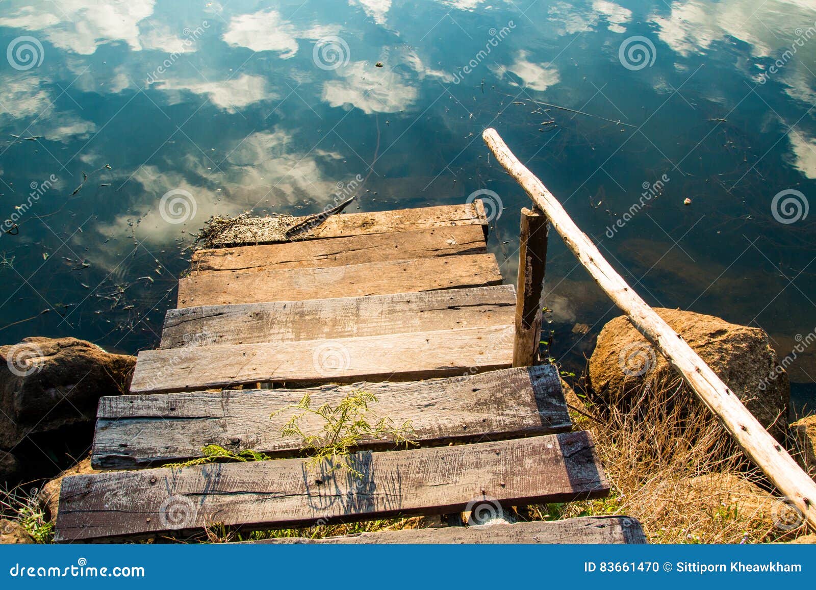 Path to the water stock photo. Image of ocean, foliage - 83661470