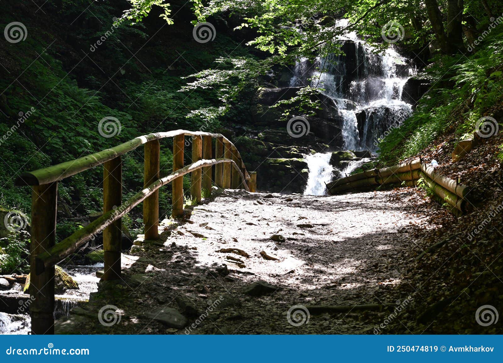 Path to the waterfall stock image. Image of stone, environment - 250474819