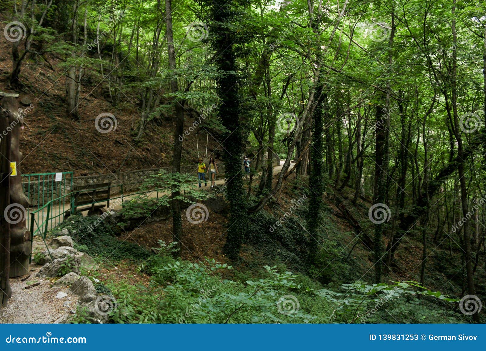 The path to the waterfall editorial stock photo. Image of vacation ...