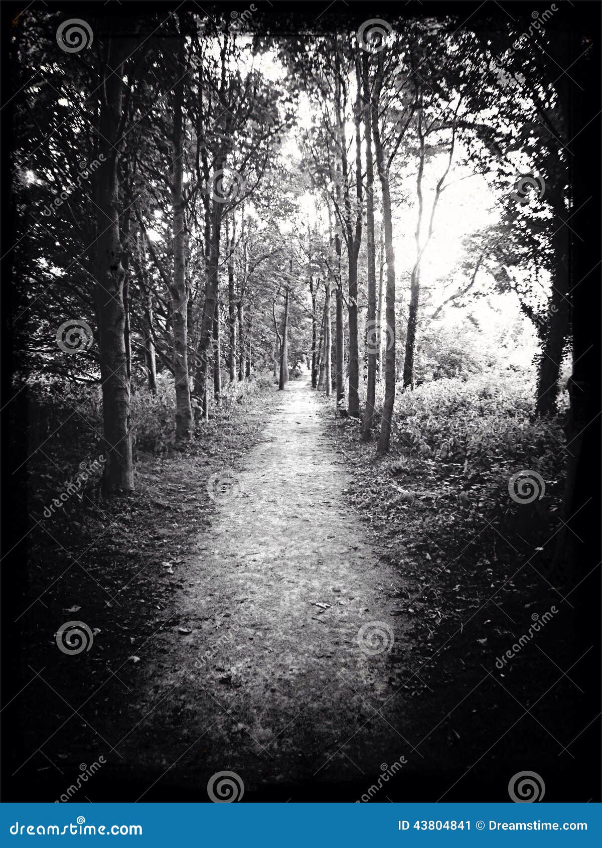 The path to where stock image. Image of eeire, unknown - 43804841