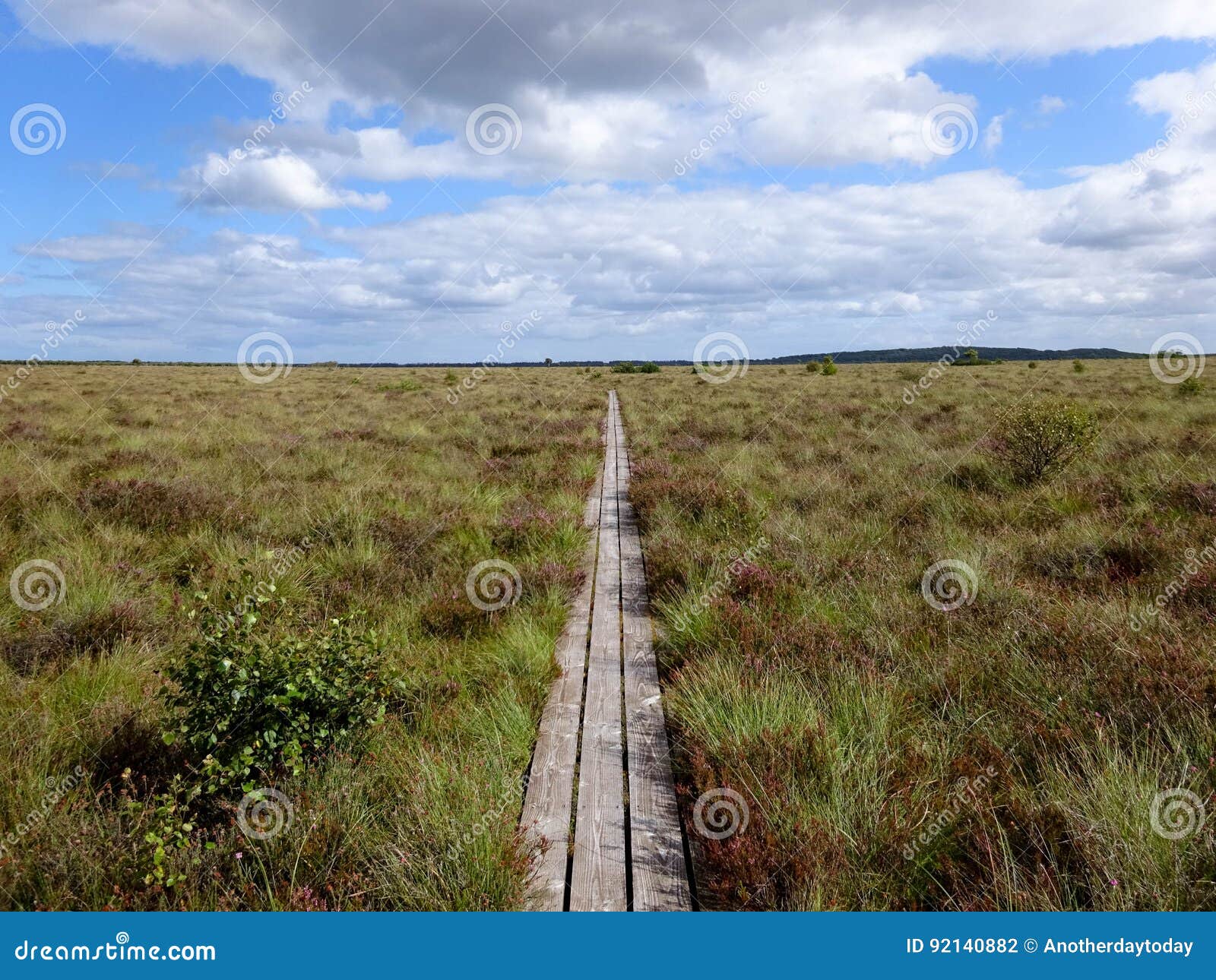 Path to the wilderness stock photo. Image of beautiful - 92140882