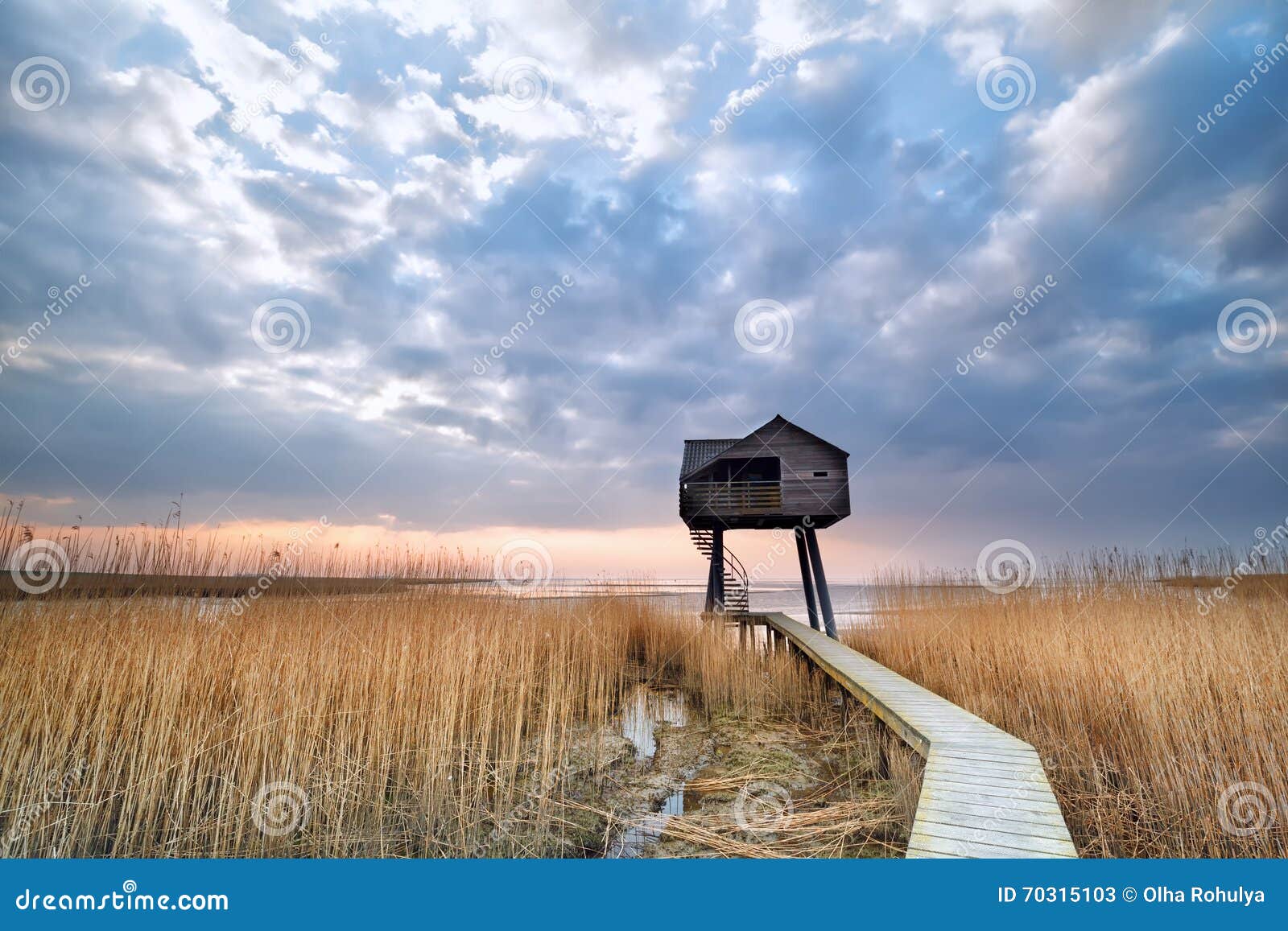 Path To Wooden Observation Tower Stock Image - Image of cloudscape ...