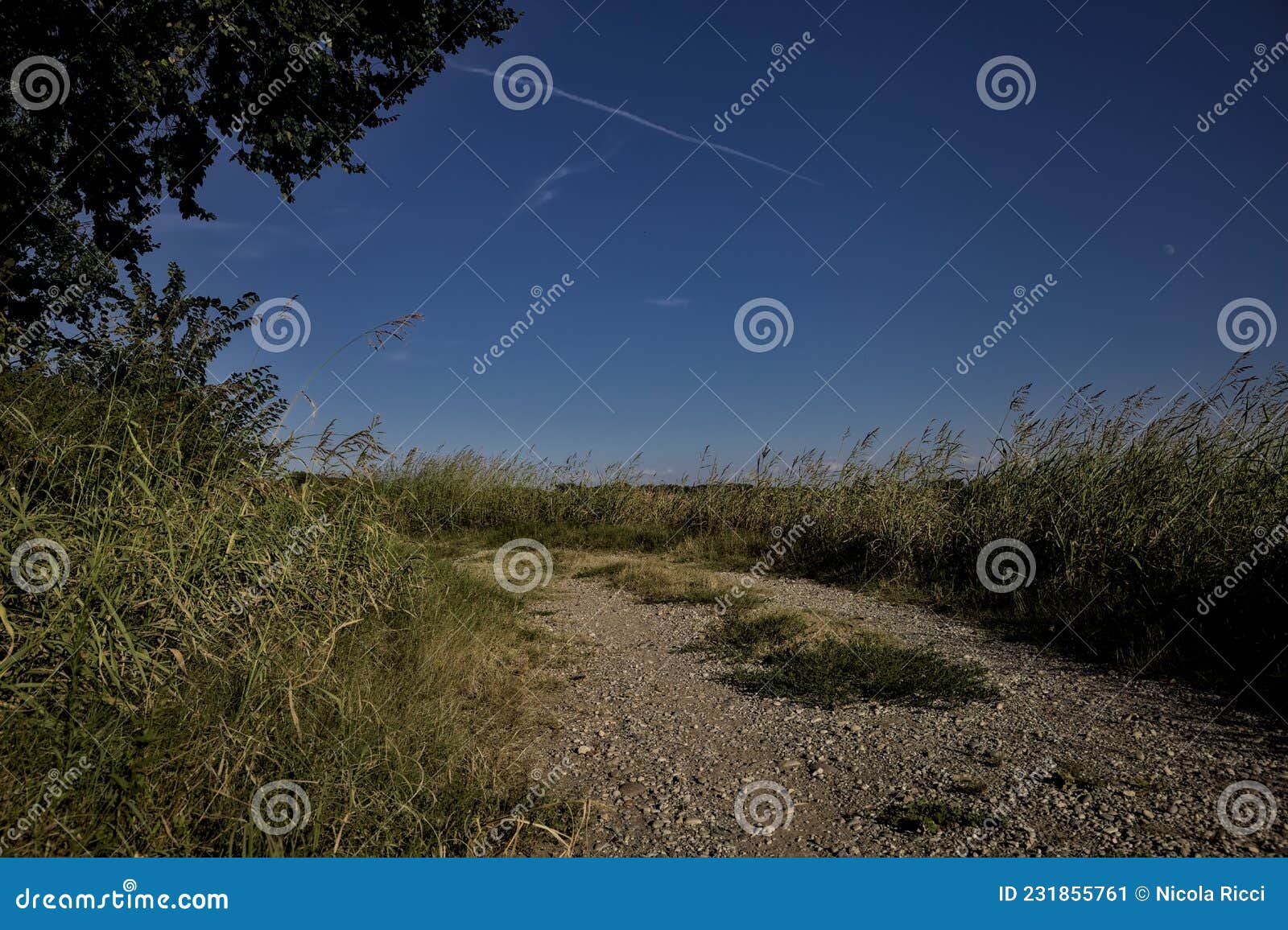 Path on the Top of an Embankment with Fields Below it at Sunset Stock ...