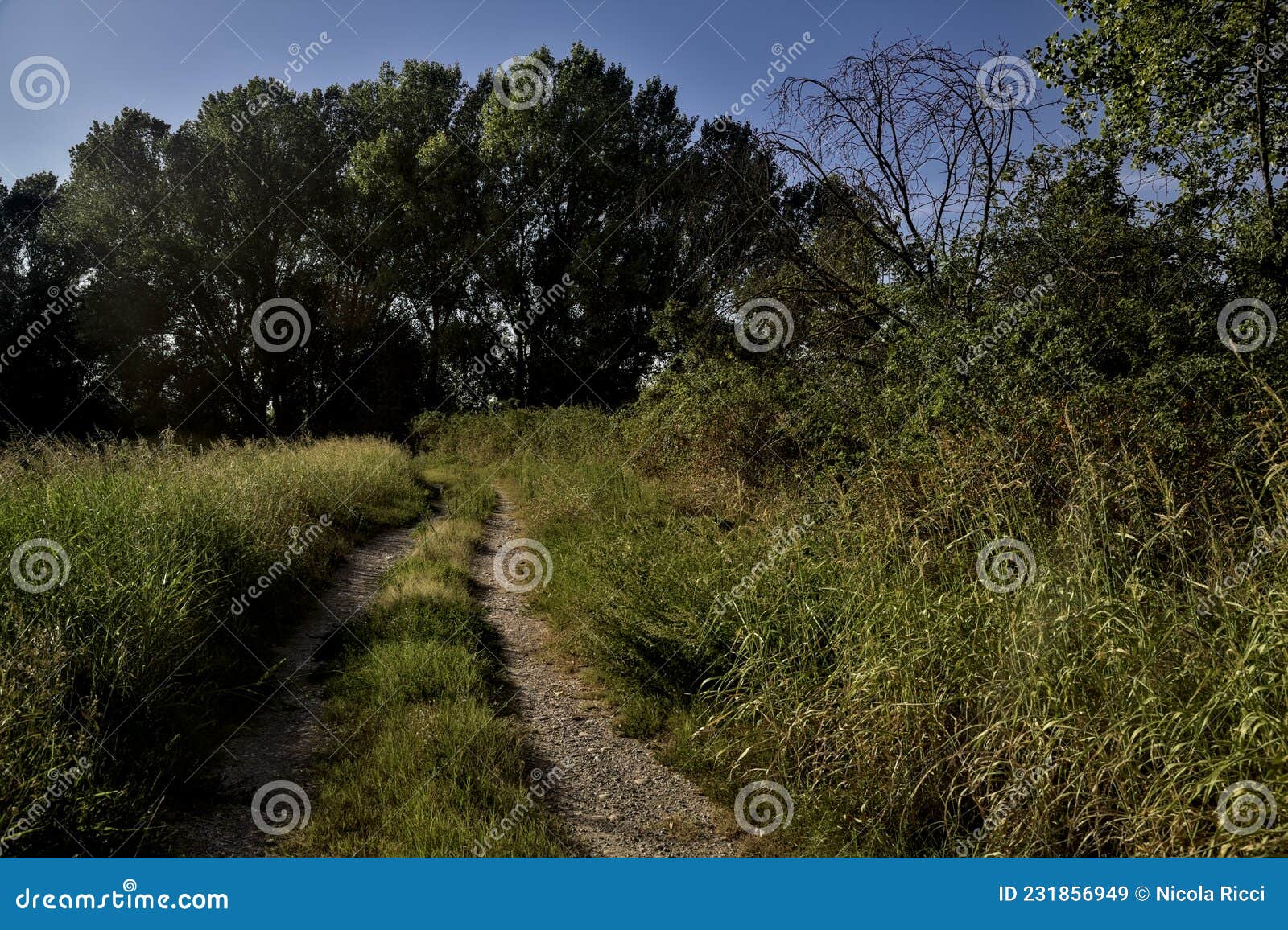 Path on the Top of an Embankment with Fields Below it at Sunset Stock ...